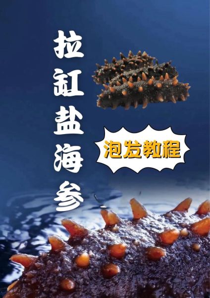 野生海参怎么泡发_野生海参怎么做好吃-第2张图片-山城妙识 野生海参怎么泡发_野生海参怎么做好吃-第2张图片-山城妙识