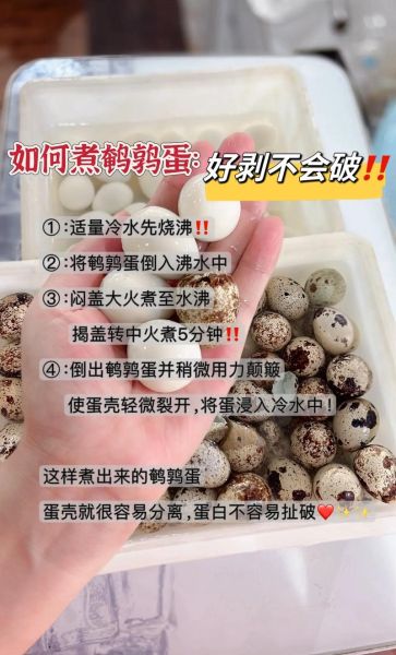鹌鹑蛋煮几分钟能熟_鹌鹑蛋怎么煮不裂-第1张图片-山城妙识 鹌鹑蛋煮几分钟能熟_鹌鹑蛋怎么煮不裂-第1张图片-山城妙识