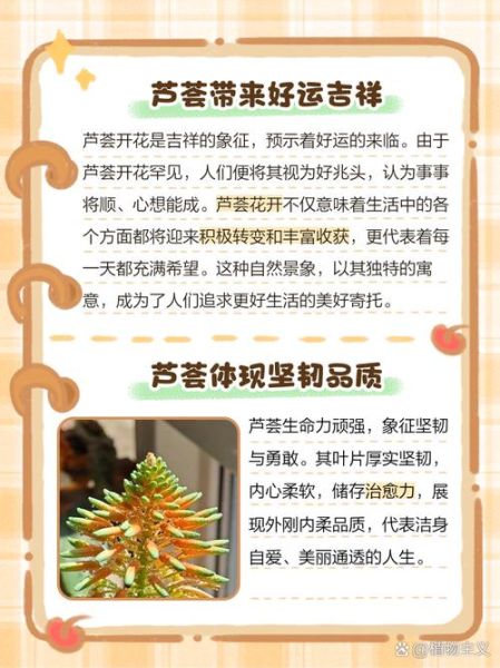 芦荟为什么不能送人_风水禁忌有哪些-第1张图片-山城妙识 芦荟为什么不能送人_风水禁忌有哪些-第1张图片-山城妙识