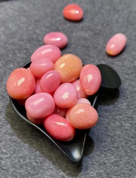 海螺珠是炒作吗_海螺珠为什么那么贵-第1张图片-山城妙识 海螺珠是炒作吗_海螺珠为什么那么贵-第1张图片-山城妙识