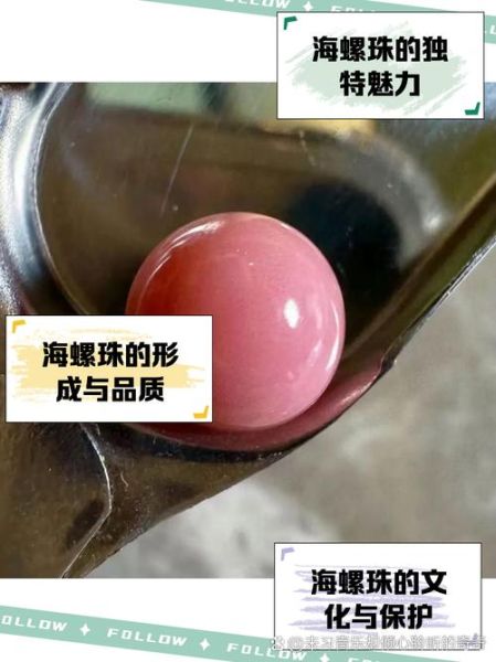 海螺珠是炒作吗_海螺珠为什么那么贵-第2张图片-山城妙识 海螺珠是炒作吗_海螺珠为什么那么贵-第2张图片-山城妙识