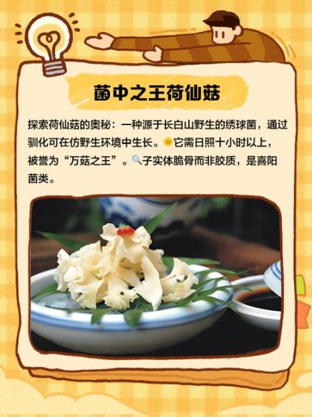 荷仙菇多少钱一斤_荷仙菇价格为什么贵-第1张图片-山城妙识 荷仙菇多少钱一斤_荷仙菇价格为什么贵-第1张图片-山城妙识