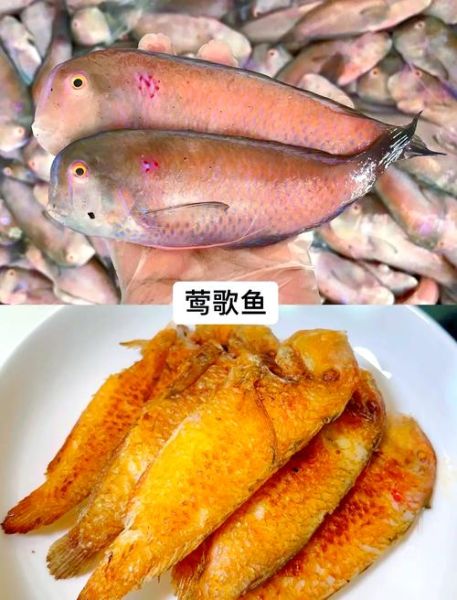 海鱼有哪些品种_海鱼怎么做好吃-第2张图片-山城妙识 海鱼有哪些品种_海鱼怎么做好吃-第2张图片-山城妙识