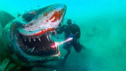 十大恐怖鲨鱼图片_真实存在吗-第2张图片-山城妙识 十大恐怖鲨鱼图片_真实存在吗-第2张图片-山城妙识