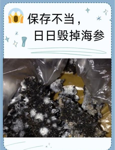 海参发霉了还能吃吗_海参发霉图片辨别方法-第1张图片-山城妙识 海参发霉了还能吃吗_海参发霉图片辨别方法-第1张图片-山城妙识