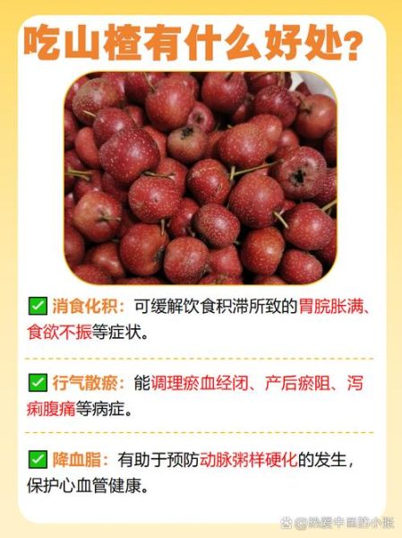 山楂吃了有什么好处_山楂的功效与作用-第2张图片-山城妙识 山楂吃了有什么好处_山楂的功效与作用-第2张图片-山城妙识