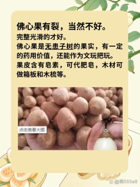 佛心果的功效与作用_佛心果怎么食用效果最好-第2张图片-山城妙识 佛心果的功效与作用_佛心果怎么食用效果最好-第2张图片-山城妙识