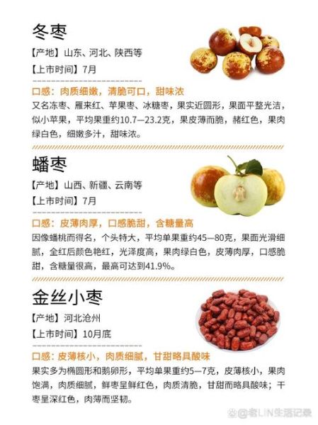 大枣和小枣的功效区别_哪个更适合补血-第3张图片-山城妙识 大枣和小枣的功效区别_哪个更适合补血-第3张图片-山城妙识