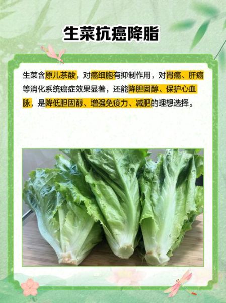 生菜可以生吃吗_生吃生菜安全吗-第1张图片-山城妙识 生菜可以生吃吗_生吃生菜安全吗-第1张图片-山城妙识