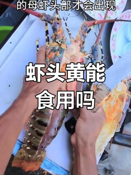 龙虾头可以吃吗_龙虾头哪些部位能吃-第1张图片-山城妙识 龙虾头可以吃吗_龙虾头哪些部位能吃-第1张图片-山城妙识