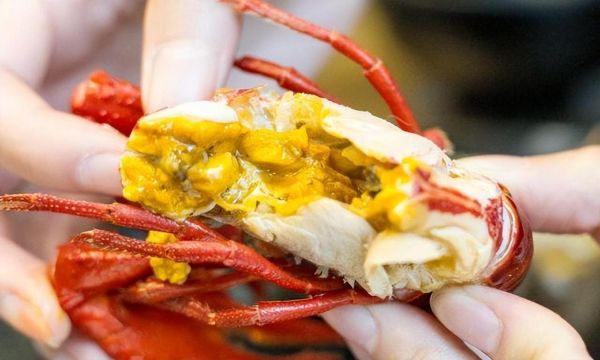 龙虾头可以吃吗_龙虾头哪些部位能吃-第3张图片-山城妙识 龙虾头可以吃吗_龙虾头哪些部位能吃-第3张图片-山城妙识