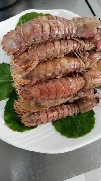 虾蛄是什么_虾蛄和皮皮虾的区别-第2张图片-山城妙识 虾蛄是什么_虾蛄和皮皮虾的区别-第2张图片-山城妙识