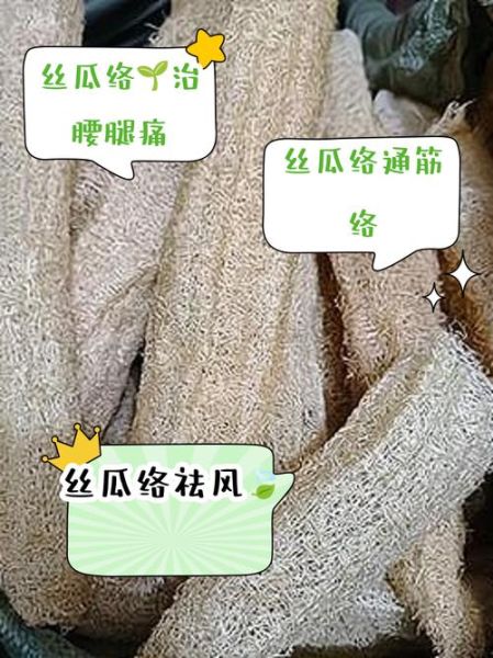 老丝瓜络煮水喝的功效_老丝瓜络煮水有什么作用-第3张图片-山城妙识 老丝瓜络煮水喝的功效_老丝瓜络煮水有什么作用-第3张图片-山城妙识