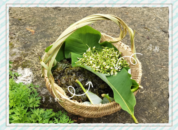 地木耳怎么做好吃_地木耳的做法大全-第3张图片-山城妙识 地木耳怎么做好吃_地木耳的做法大全-第3张图片-山城妙识