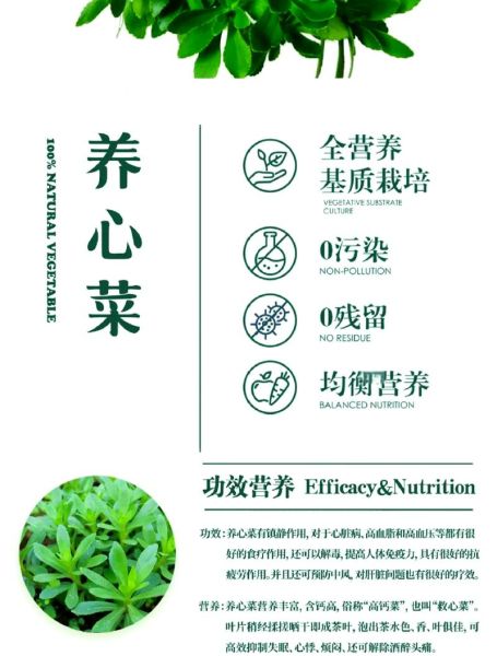 救心菜怎么吃最好_救心菜的做法大全-第2张图片-山城妙识 救心菜怎么吃最好_救心菜的做法大全-第2张图片-山城妙识