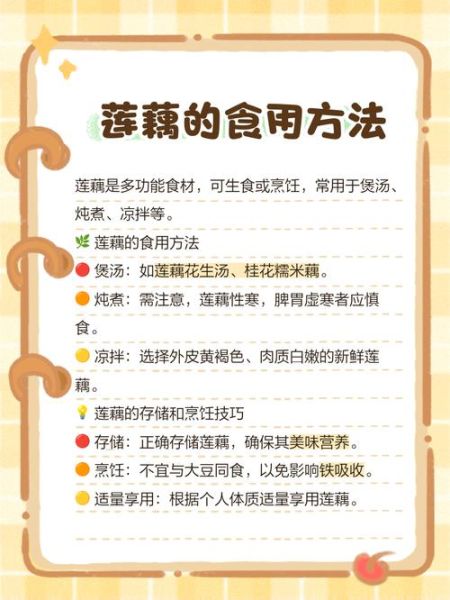 藕是莲的根还是茎_植物结构深度解析-第3张图片-山城妙识 藕是莲的根还是茎_植物结构深度解析-第3张图片-山城妙识