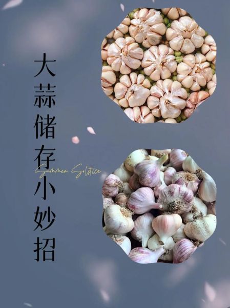 大蒜怎么保存不发芽_大蒜图片怎么拍好看-第1张图片-山城妙识 大蒜怎么保存不发芽_大蒜图片怎么拍好看-第1张图片-山城妙识