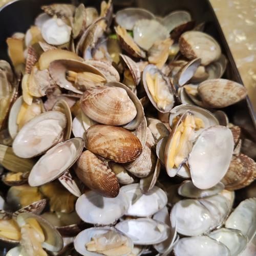 蛤蜊种类大全_哪种蛤蜊最好吃-第2张图片-山城妙识 蛤蜊种类大全_哪种蛤蜊最好吃-第2张图片-山城妙识