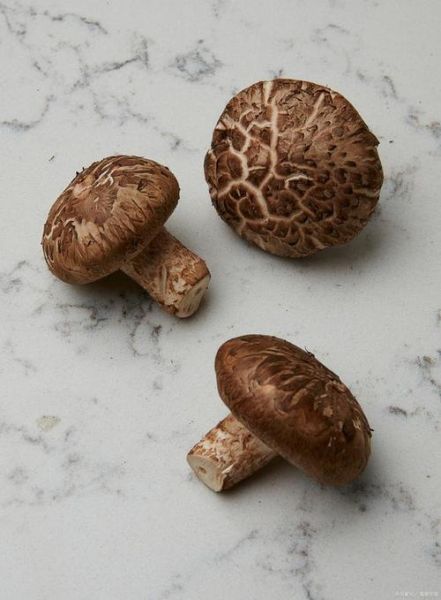 香菇花菇金钱菇区别_哪个更好吃-第3张图片-山城妙识