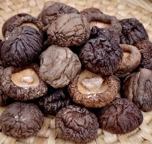 香菇花菇金钱菇区别_哪个更好吃-第2张图片-山城妙识