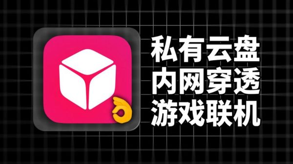 花生壳内网穿透收费吗_免费版与付费版区别-第3张图片-山城妙识