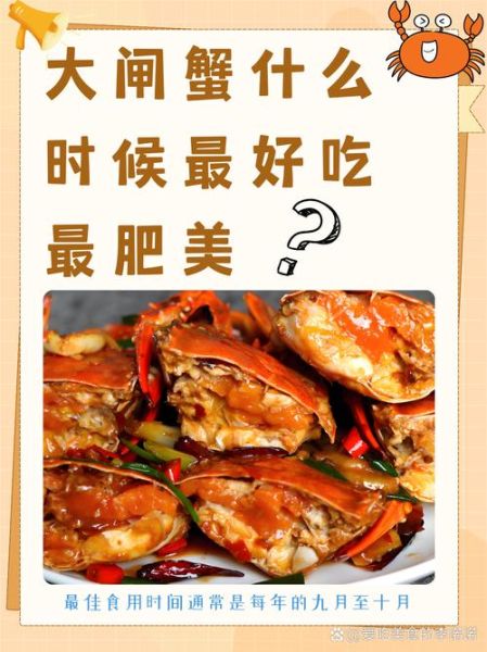 大闸蟹什么时候最肥_公蟹母蟹哪个月份最好吃-第1张图片-山城妙识