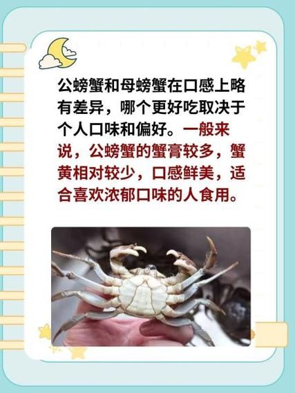 大闸蟹什么时候最肥_公蟹母蟹哪个月份最好吃-第3张图片-山城妙识