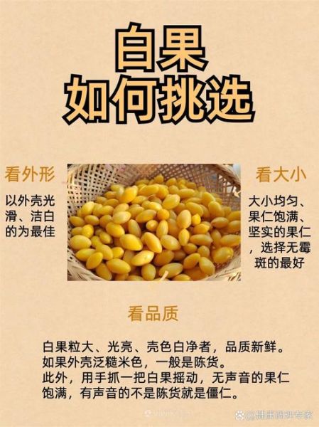 白果有毒吗_白果中毒症状-第2张图片-山城妙识
