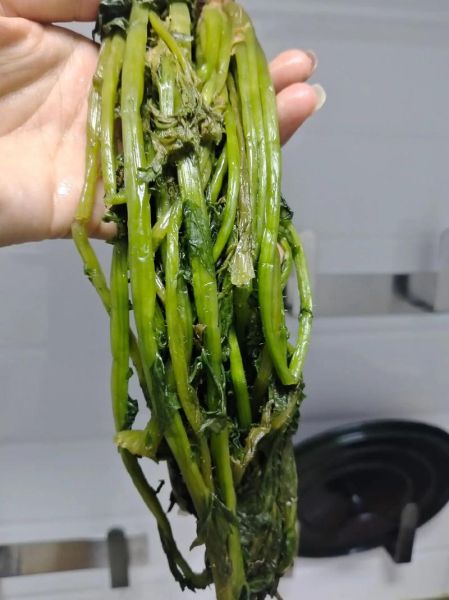 雪菜怎么腌制_雪菜腌制方法步骤-第2张图片-山城妙识 雪菜怎么腌制_雪菜腌制方法步骤-第2张图片-山城妙识