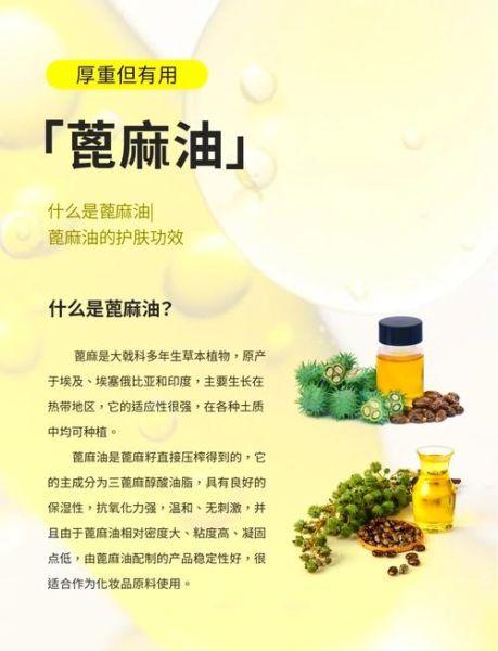 蓖麻油有毒吗_蓖麻油安全用量-第1张图片-山城妙识 蓖麻油有毒吗_蓖麻油安全用量-第1张图片-山城妙识