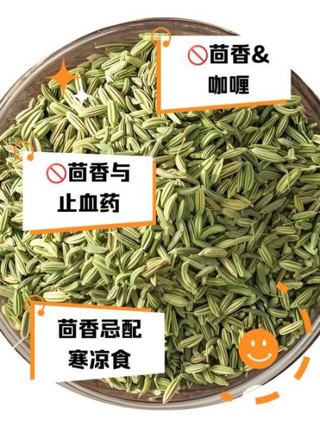 茴香什么人不能吃_茴香和什么相克-第3张图片-山城妙识 茴香什么人不能吃_茴香和什么相克-第3张图片-山城妙识