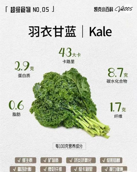 菠菜和羽衣甘蓝哪个营养更高_如何挑选最营养的绿叶蔬菜-第3张图片-山城妙识 菠菜和羽衣甘蓝哪个营养更高_如何挑选最营养的绿叶蔬菜-第3张图片-山城妙识