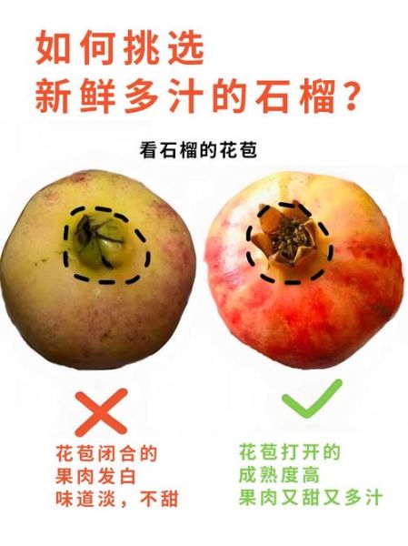 石榴怎么挑选_石榴挑选技巧-第2张图片-山城妙识 石榴怎么挑选_石榴挑选技巧-第2张图片-山城妙识
