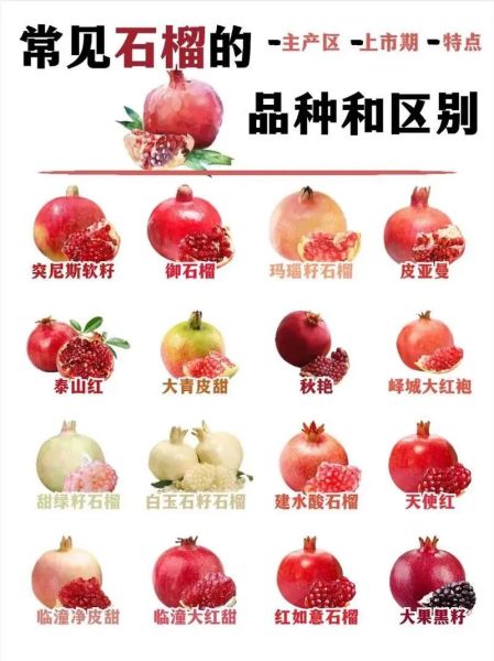 石榴怎么挑选_石榴挑选技巧-第3张图片-山城妙识 石榴怎么挑选_石榴挑选技巧-第3张图片-山城妙识