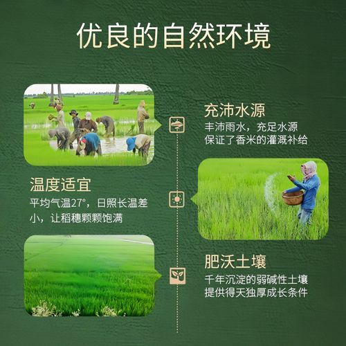 丝苗米煮饭好吃吗_丝苗米煮粥好还是煮饭好-第2张图片-山城妙识 丝苗米煮饭好吃吗_丝苗米煮粥好还是煮饭好-第2张图片-山城妙识