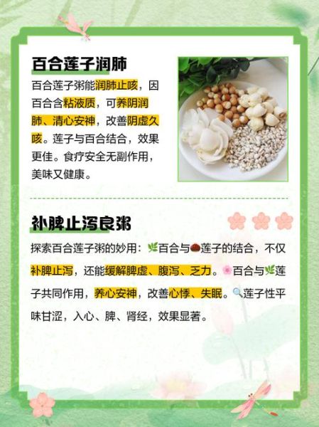 莲子百合粥怎么做_莲子百合粥的功效与禁忌-第1张图片-山城妙识 莲子百合粥怎么做_莲子百合粥的功效与禁忌-第1张图片-山城妙识