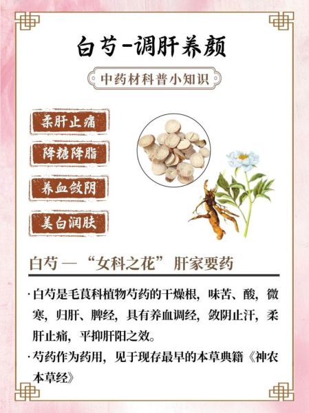 白芍的功效与作用及用量_白芍一天吃多少克合适-第3张图片-山城妙识 白芍的功效与作用及用量_白芍一天吃多少克合适-第3张图片-山城妙识
