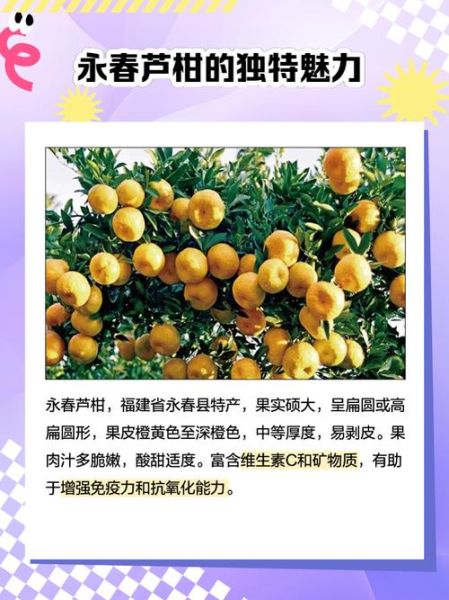 芦柑的营养价值及功效_芦柑吃了会上火吗-第3张图片-山城妙识 芦柑的营养价值及功效_芦柑吃了会上火吗-第3张图片-山城妙识