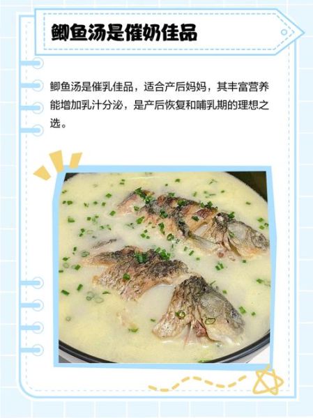 鲫鱼汤下奶是真的吗_鲫鱼汤催奶科学原理-第1张图片-山城妙识