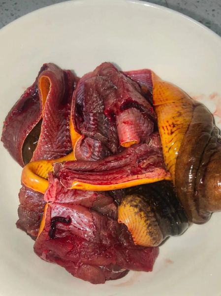 黄鳝血怎么取_黄鳝血取血技巧-第1张图片-山城妙识