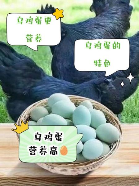 乌鸡蛋的功效与作用_乌鸡蛋和普通鸡蛋的区别-第3张图片-山城妙识 乌鸡蛋的功效与作用_乌鸡蛋和普通鸡蛋的区别-第3张图片-山城妙识