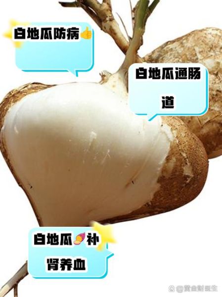 白地瓜生吃有什么好处_白地瓜生吃能减肥吗-第1张图片-山城妙识 白地瓜生吃有什么好处_白地瓜生吃能减肥吗-第1张图片-山城妙识
