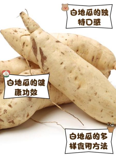 白地瓜生吃有什么好处_白地瓜生吃能减肥吗-第3张图片-山城妙识 白地瓜生吃有什么好处_白地瓜生吃能减肥吗-第3张图片-山城妙识