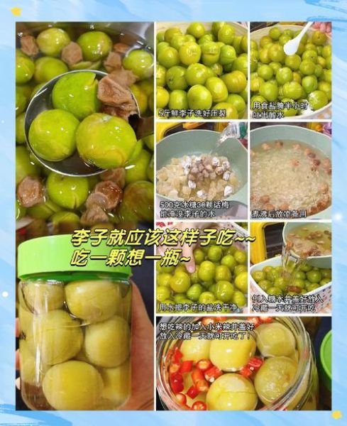 李子果脯怎么做_家庭自制李子干详细步骤-第2张图片-山城妙识 李子果脯怎么做_家庭自制李子干详细步骤-第2张图片-山城妙识