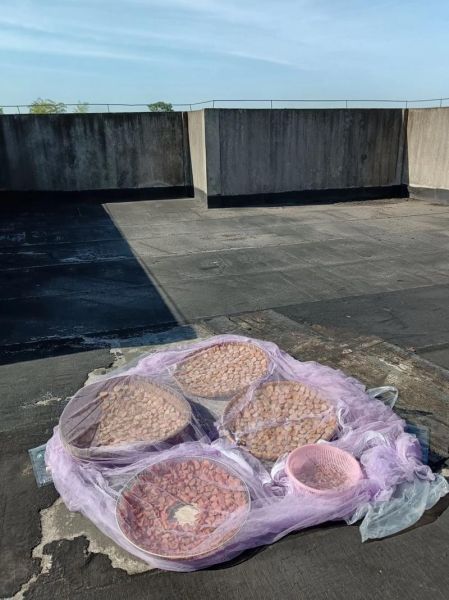 李子果脯怎么做_家庭自制李子干详细步骤-第3张图片-山城妙识 李子果脯怎么做_家庭自制李子干详细步骤-第3张图片-山城妙识