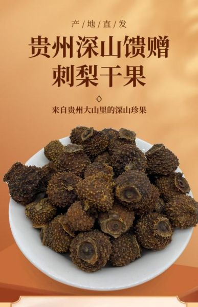 刺梨子图片_刺梨子的功效与作用-第3张图片-山城妙识 刺梨子图片_刺梨子的功效与作用-第3张图片-山城妙识