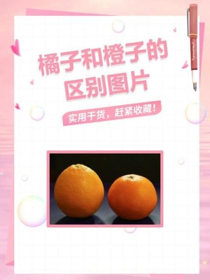 橘子和橙子的区别_哪个营养更高-第2张图片-山城妙识 橘子和橙子的区别_哪个营养更高-第2张图片-山城妙识