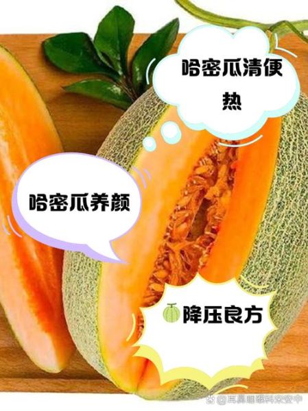 哈密瓜减肥能吃吗_哈密瓜的功效与作用减肥-第3张图片-山城妙识 哈密瓜减肥能吃吗_哈密瓜的功效与作用减肥-第3张图片-山城妙识