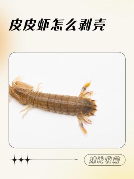 皮皮虾怎么吃_皮皮虾剥壳技巧-第1张图片-山城妙识 皮皮虾怎么吃_皮皮虾剥壳技巧-第1张图片-山城妙识