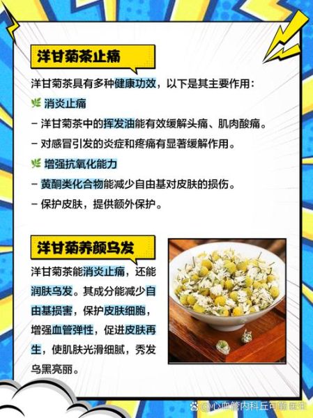 洋甘菊茶的功效与作用_洋甘菊茶怎么喝-第2张图片-山城妙识 洋甘菊茶的功效与作用_洋甘菊茶怎么喝-第2张图片-山城妙识